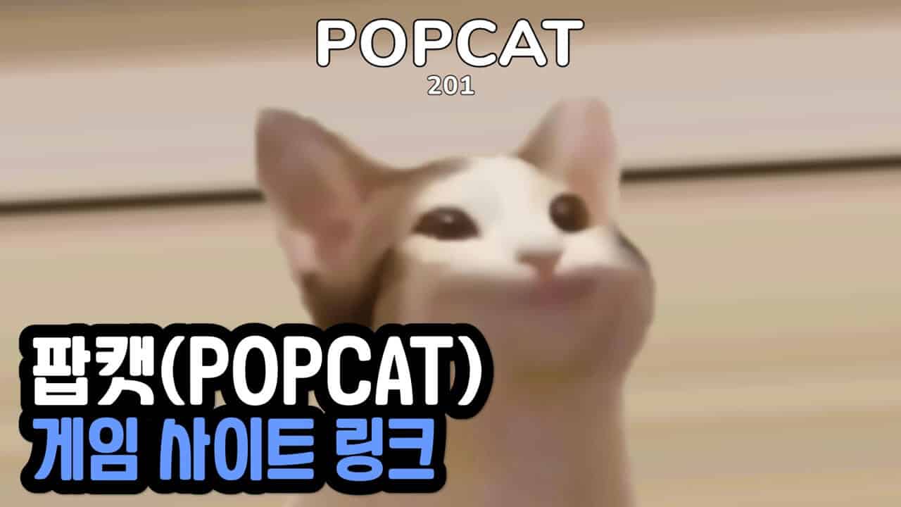 팝캣(POPCAT) 하는법 | 사이트 바로가기 링크 - 정보킹